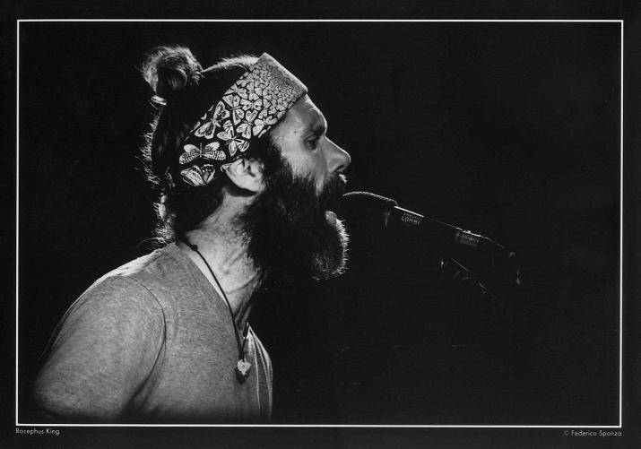 bocephus king – Amplificazioni Lombardi